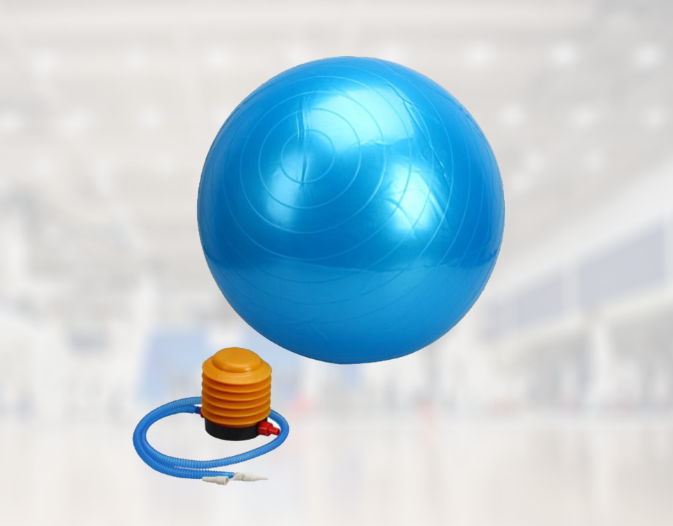 Exercise Balls 85 CM - TEMA